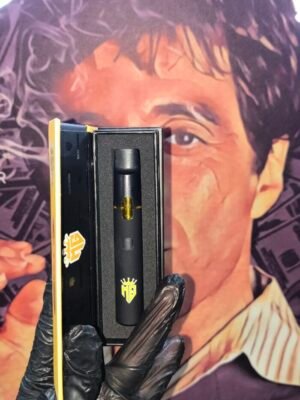 Mr Gas Disposable : Premium Vape Collection