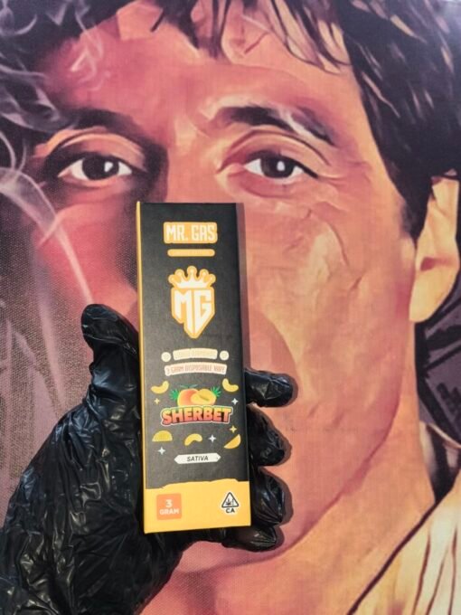 Mr Gas Disposable : Premium Vape Collection